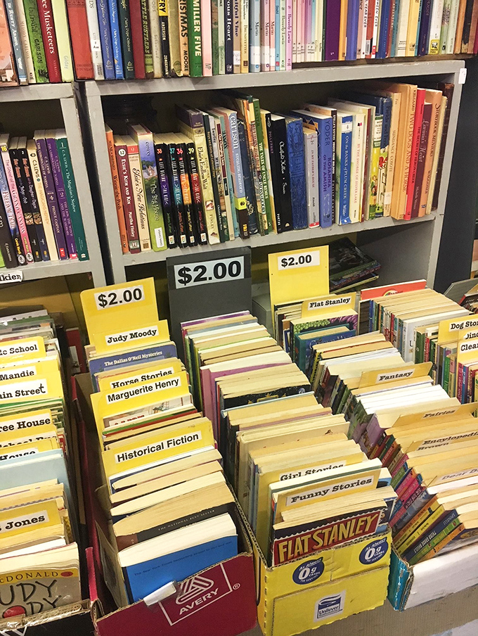 Books organized by childhood memories rather than Dewey Decimal. Two dollars buys you not just a story, but a time machine.