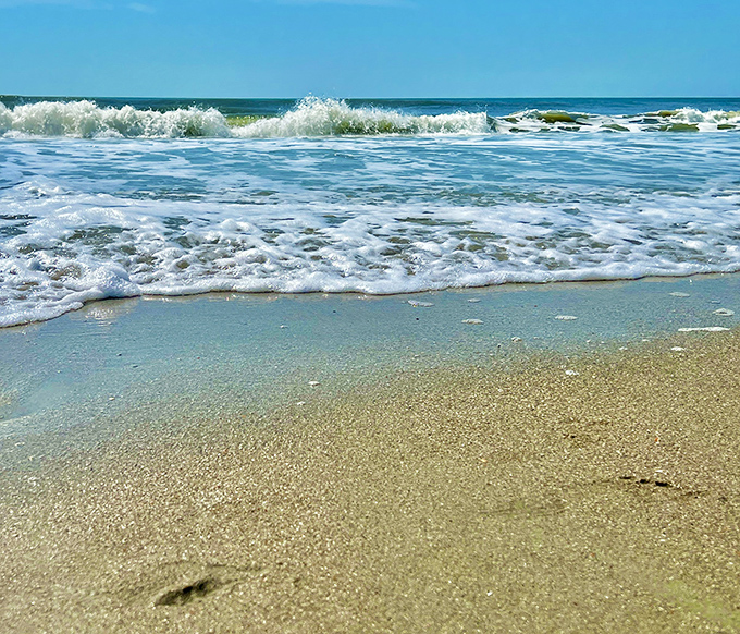 Crystal clear waters meet golden sands in perfect harmony. The kind of beach that makes you want to wiggle your toes indefinitely.