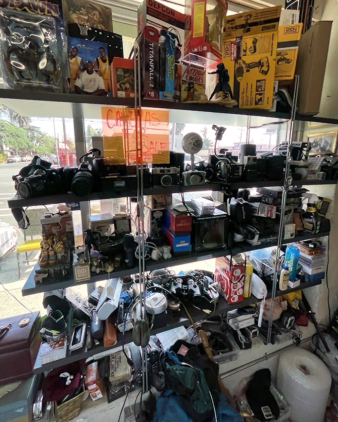 Camera heaven for analog enthusiasts. Vintage Nikons and Canons line these shelves like a photography museum where everything's actually for sale.