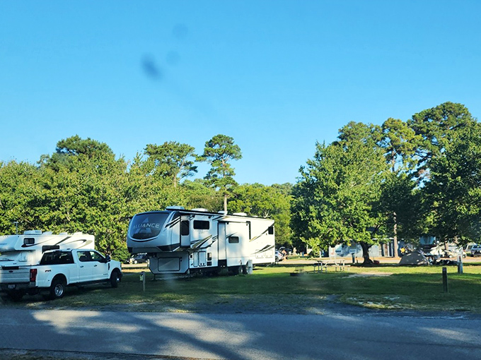 RV paradise where neighbors are friendly but not too friendly. The perfect balance of wilderness and having actual plumbing.