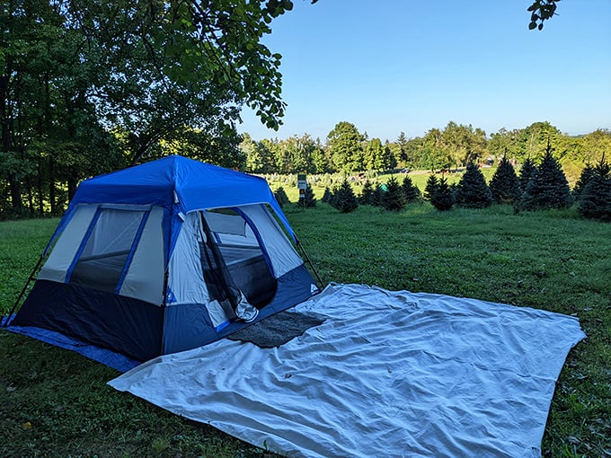 Camping at Heritage Farm offers a perfect blend of wilderness and comfort&mdash;just enough roughing it to feel adventurous, close enough to town for coffee.