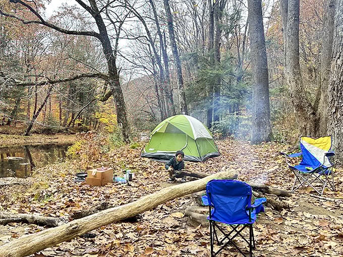 Fall camping at its finest&mdash;where the soundtrack is rustling leaves and crackling fires, not your neighbor's questionable playlist.