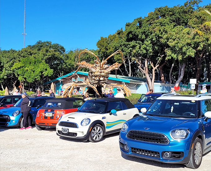 The colorful array of cars suggests Betsy attracts a diverse fan club. Even Mini Cooper drivers aren't immune to the allure of oversized arthropods.