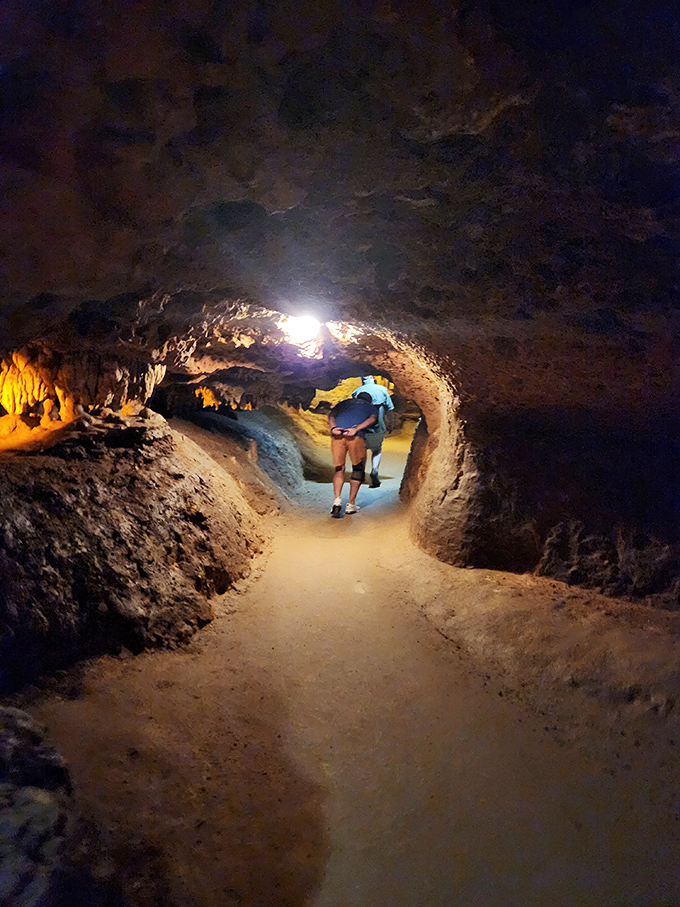 Mind your head in nature's hallways! These narrow passages between chambers remind visitors they're guests in an ancient, ongoing geological process.