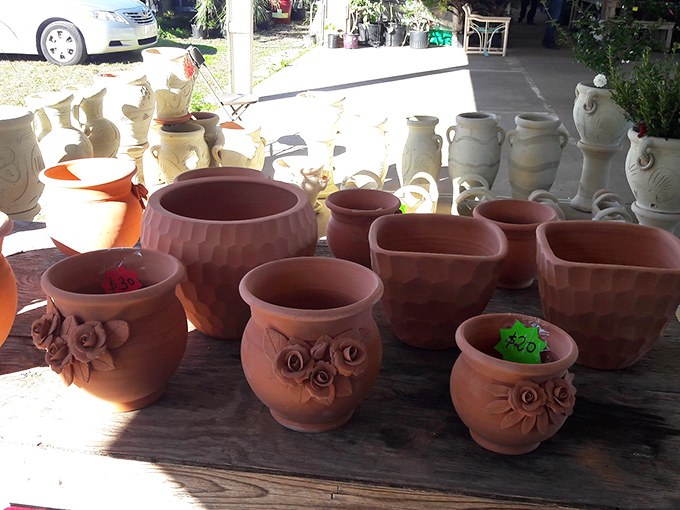 Terracotta pots basking in Florida sunshine, each one practically begging to cradle your next ill-fated attempt at growing herbs.