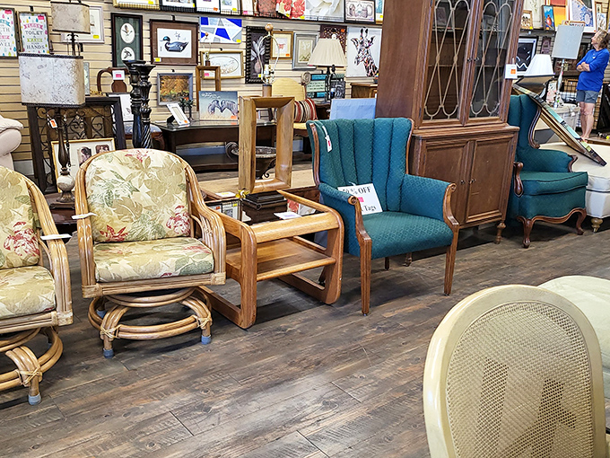 Chair lineup looking like they're auditioning for a furniture talent show. That teal wingback is definitely getting a callback.