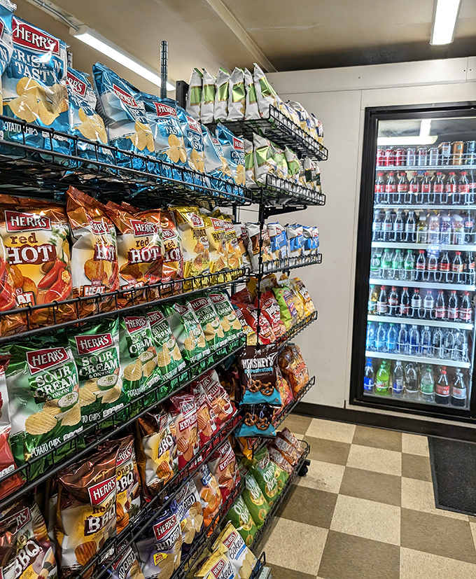 An aisle of chips offering the perfect crunchy sidekick to your sandwich adventure.