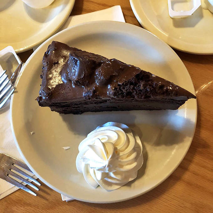 A slice of chocolate cake so rich it probably has its own offshore account. That whipped cream dollop is just showing off.