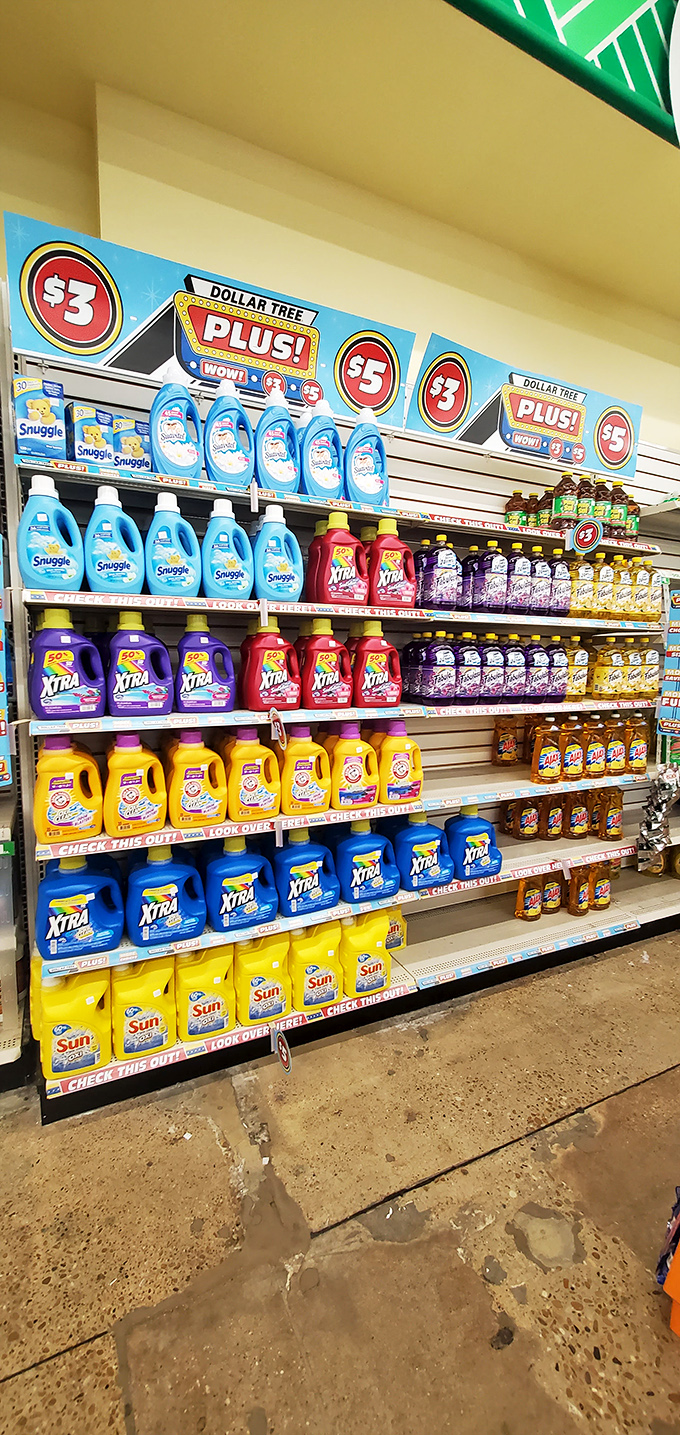 Laundry detergent bottles stand like colorful soldiers ready to battle stains. Snuggle, Xtra, and Sun offer clean clothes without cleaning out your wallet.