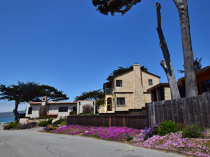Coastal homes in Carmel don't just have ocean views &ndash; they have front-row seats to nature's greatest show, complete with purple carpet.