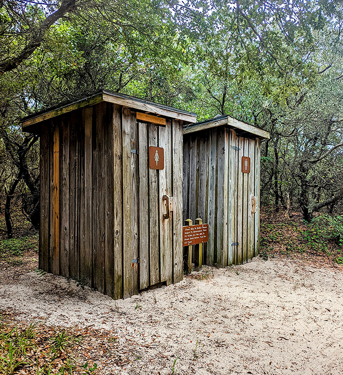 Rustic comfort stations that remind you you're definitely not at the Ritz. Sometimes the best amenities are the ones that simply exist.