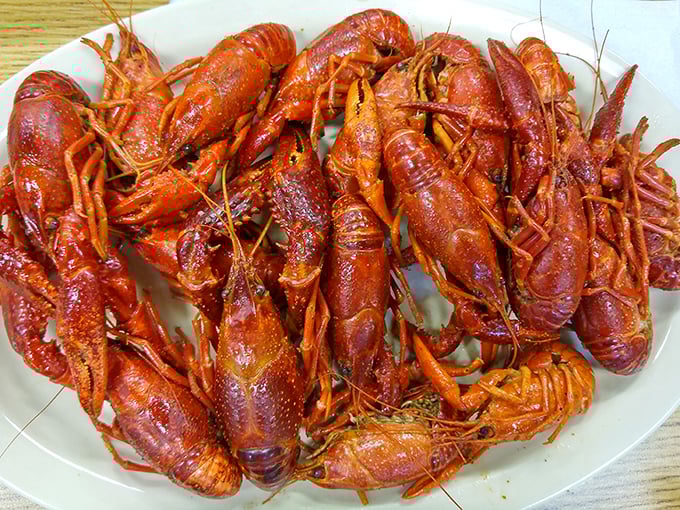 These crawfish didn't sacrifice themselves in vain—their fiery red shells signal a spicy celebration waiting to happen on your plate.