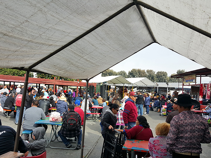The covered eating area buzzes with multilingual chatter as market-goers refuel for the next round of treasure hunting.