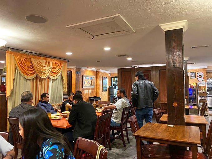 At Aladdin, the tables fill with diverse diners united by the universal language of "mmm" and the occasional competitive reach for the last piece of pita.
