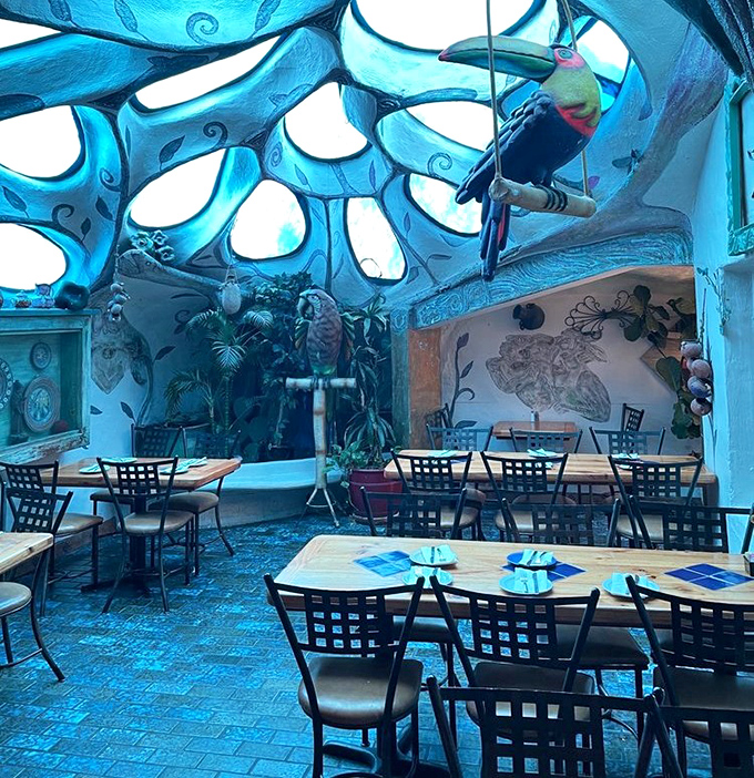 The dining room buzzes with the kind of energy that makes solo diners feel like they're among friends.