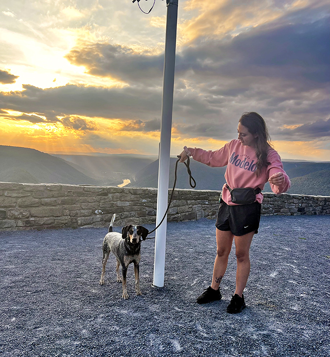 Sunset walks with four-legged companions make even the most spectacular views somehow better. Dogs don't care about Instagram, just that you're sharing the moment.