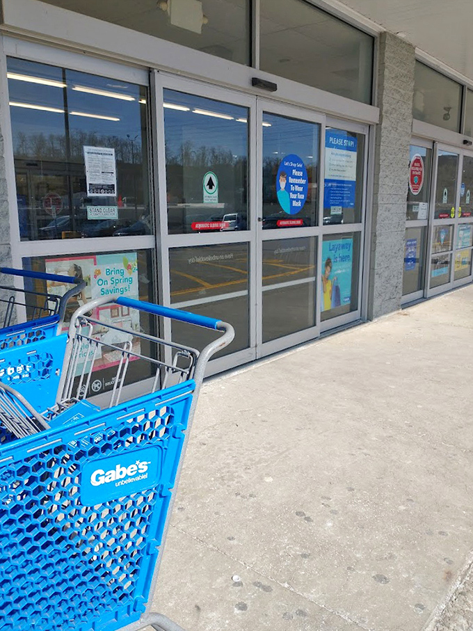 The entrance to bargain paradise, where blue shopping carts stand ready for your treasure-hunting expedition through the aisles of savings.