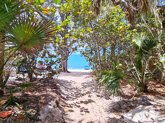 Nature's perfect doorway frames your entrance to paradise. The palms stand guard like botanical bouncers at the world's most exclusive club.