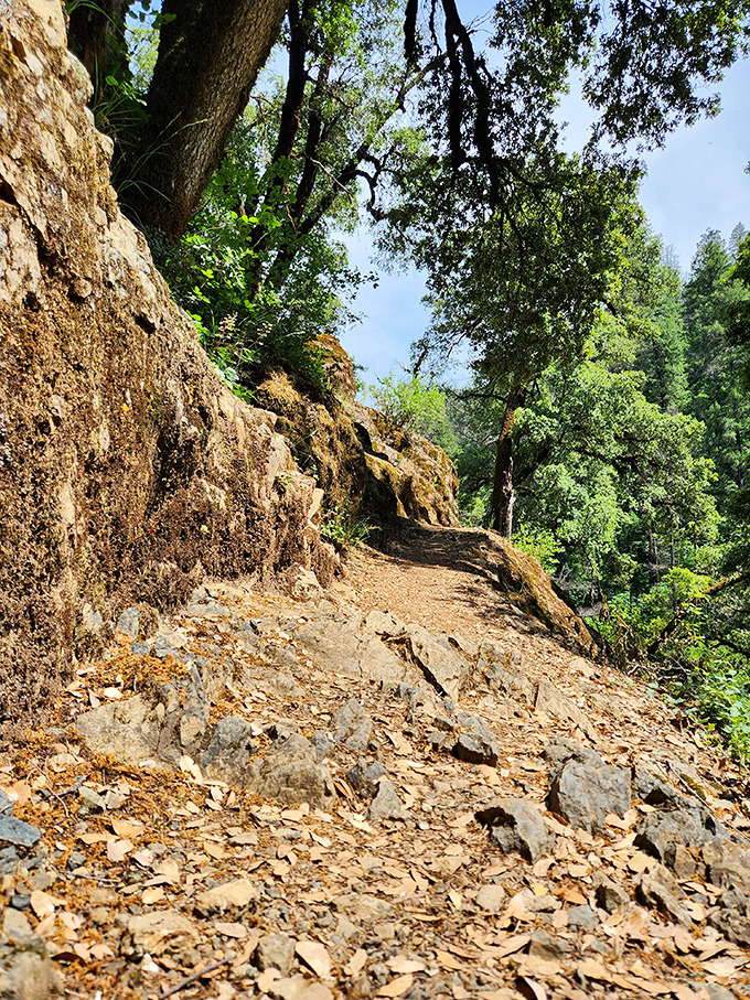 The trail to Potem Falls: where every step builds anticipation and the payoff is worth every bead of perspiration.