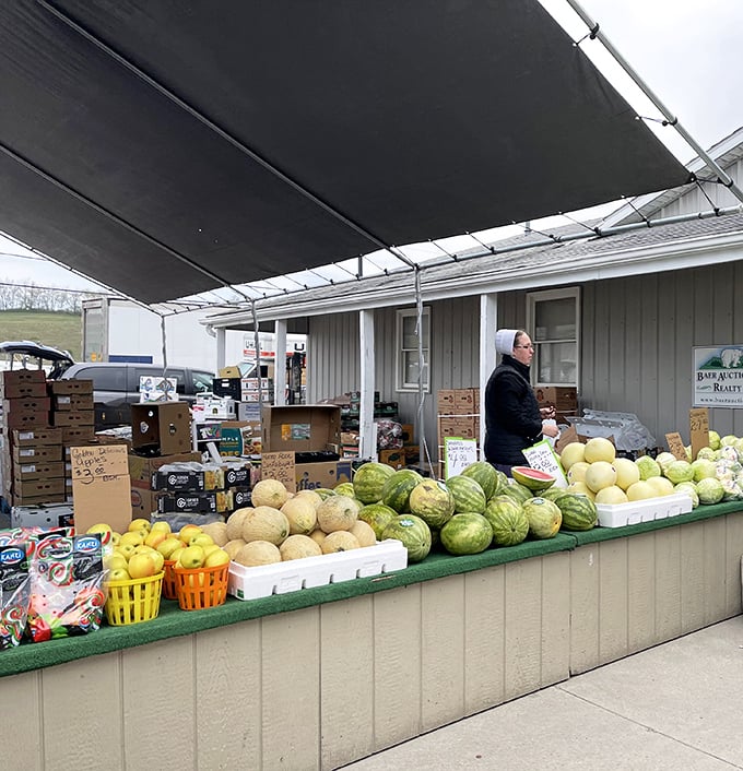 Nature's candy displayed with pride. These melons have traveled fewer miles to get here than you did on your morning walk.