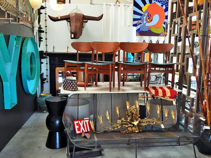 Mid-century chairs gathered around an industrial mesh sofa like old friends at a reunion, waiting for new conversations to begin.