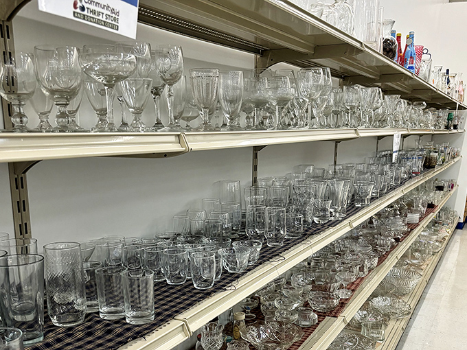 Glassware gleaming like crystal treasures, ready to elevate your next dinner party without breaking the bank.