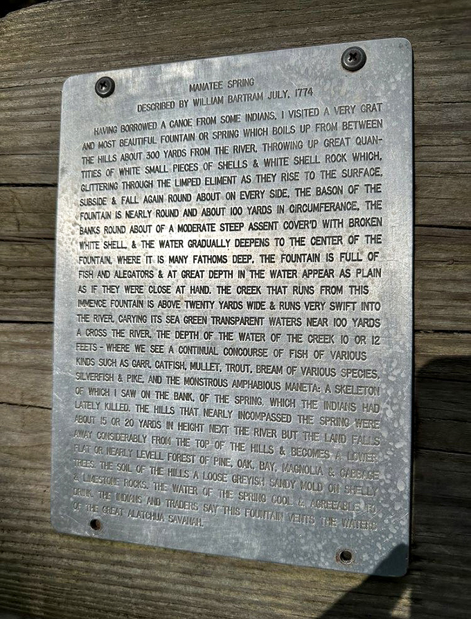 William Bartram's 1774 words echo across centuries, describing the same magical spring that captivates modern visitors. Some beauty truly is timeless.