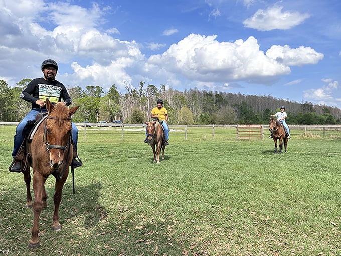 Horseback riding through Lake Louisa's open fields offers a glimpse into Florida's ranching past, when cowboys ruled these lands long before theme parks.