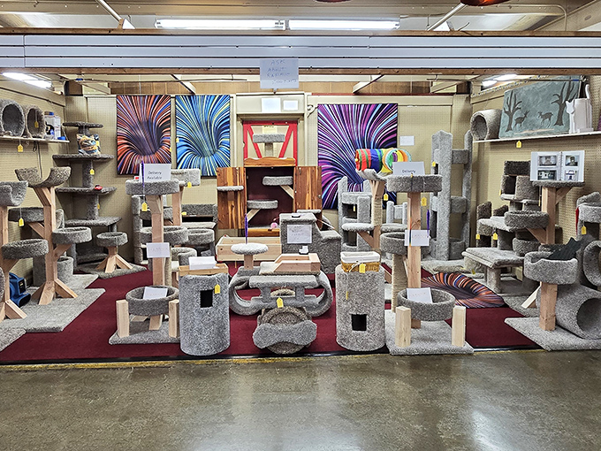 Cat condos and climbing trees that would make feline royalty purr with approval &ndash; because pets deserve flea market treasures too.