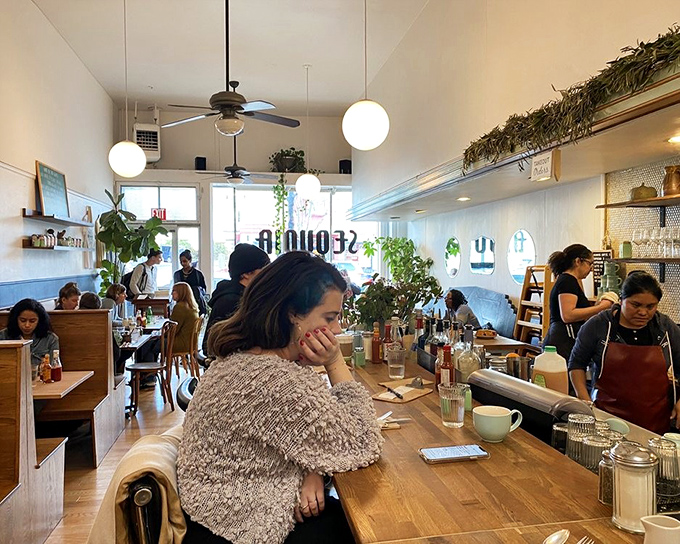 Another angle reveals a space where plants and people coexist peacefully over excellent coffee and conversation.