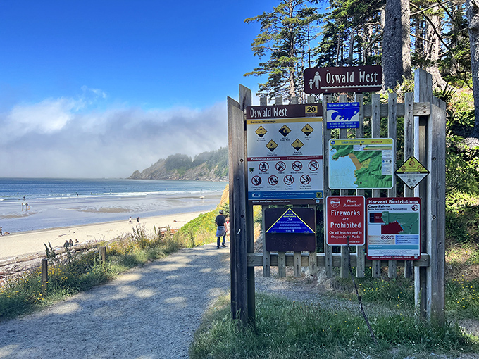 These helpful trail markers ensure your forest adventure leads exactly where every Oregon coastal dream should.