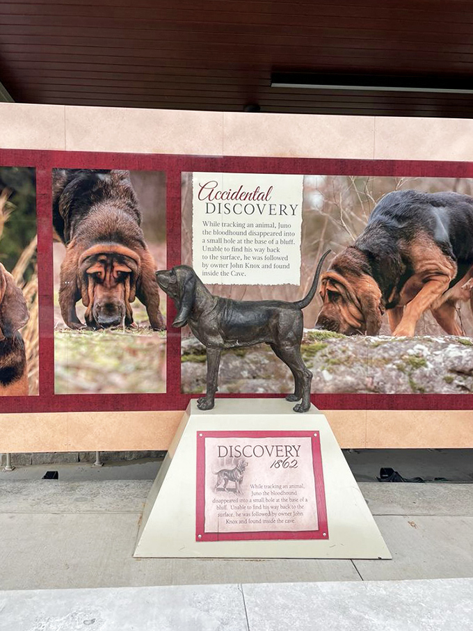 The cave's canine hero immortalized in bronze. This good boy discovered one of America's natural wonders while just doing what dogs do&mdash;following his nose.