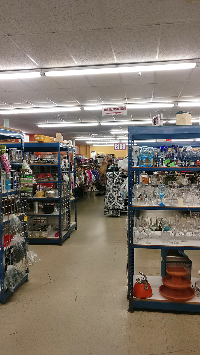 The industrial-chic interior keeps things honest &ndash; no fancy displays, just pure bargain-hunting bliss.