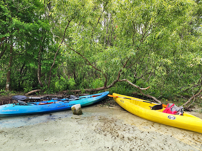 Beached kayaks waiting for their next adventure&mdash;like colorful carriages ready to transport you through Florida's liquid highways.