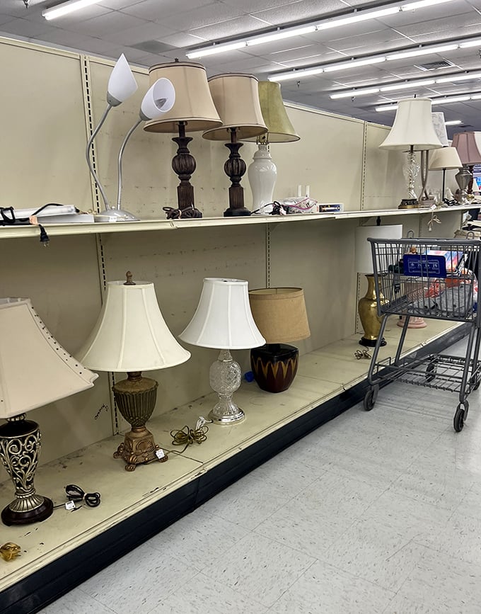 The lamp section illuminates more than just rooms&mdash;it brightens the realization that secondhand doesn't mean second-rate. Enlightening in every sense!