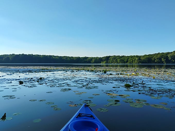 Kayaking through lily pads feels like gliding through a Monet painting that somehow escaped the museum.