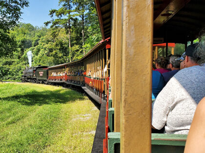 This Fascinating Train Ride In Tennessee Will Transport You Straight ...