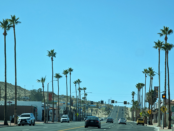 Palm-lined boulevards create nature's colonnade, standing tall like sentinels guarding the entrance to this desert community.