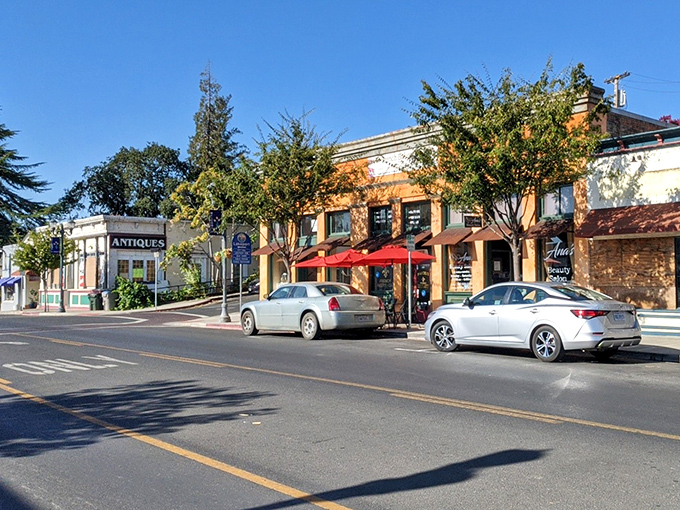 Antique shops and local businesses line Main Street like a welcoming committee, their awnings nodding hello to passersby.