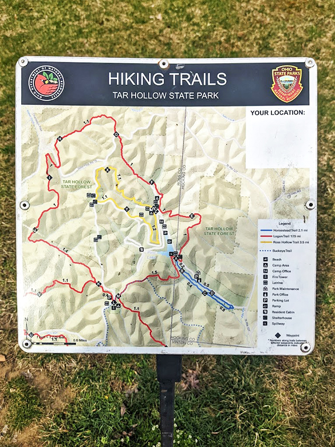 Adventure mapped and ready for taking. This trail guide promises 21 miles of Logan Backpacking Trail adventures&mdash;where "getting lost" might be the point. 