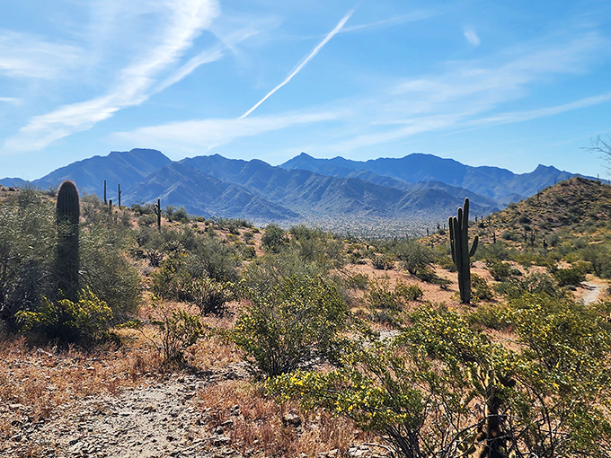 The desert's dramatic silhouette reminds us that Arizona doesn't need special effects &ndash; its natural skyline outperforms any CGI Hollywood could dream up.
