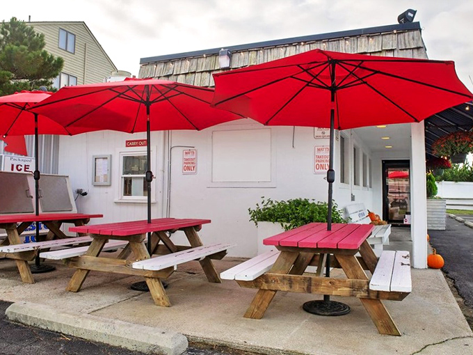 Red umbrellas and picnic tables &ndash; because sometimes the best seafood moments happen under open skies with salt air as your seasoning.