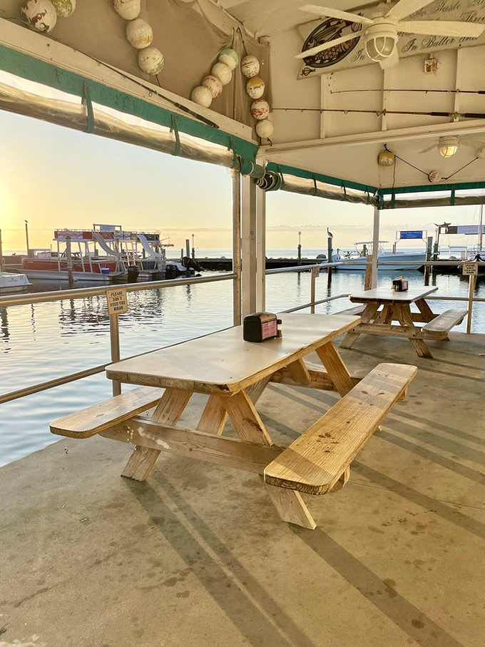 Waterfront picnic tables offer dining with a side of sunset, proving that million-dollar views don't always require million-dollar prices.