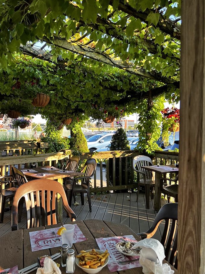 Outdoor seating under a grape canopy where Mother Nature provides the d&eacute;cor and Lake Erie provides the view.