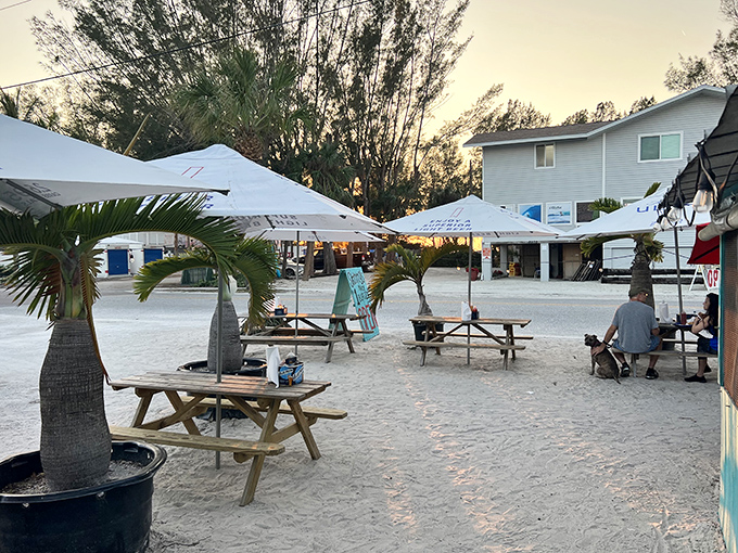 As the sun sets over Anna Maria Island, these picnic tables become the best seats in the house.