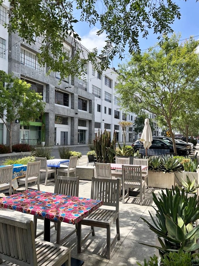 The outdoor seating area offers an urban oasis where industrial meets botanical, with succulents standing guard over colorful tablecloths.