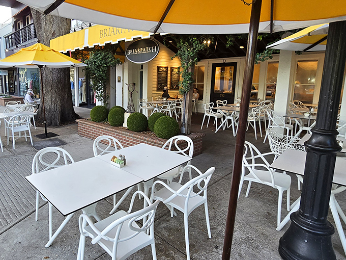 Al fresco dining under Briarpatch's signature yellow umbrellas&mdash;where Florida's sunshine feels like it was ordered specifically for your meal.