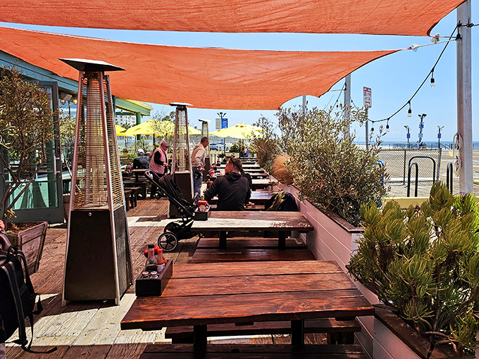 Outdoor dining under orange sails, where the ocean view comes complimentary with every order and the sea breeze seasons everything perfectly.
