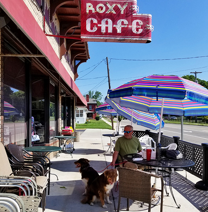 Dog-friendly outdoor dining where four-legged breakfast critics are welcome to judge your food choices from under the table.