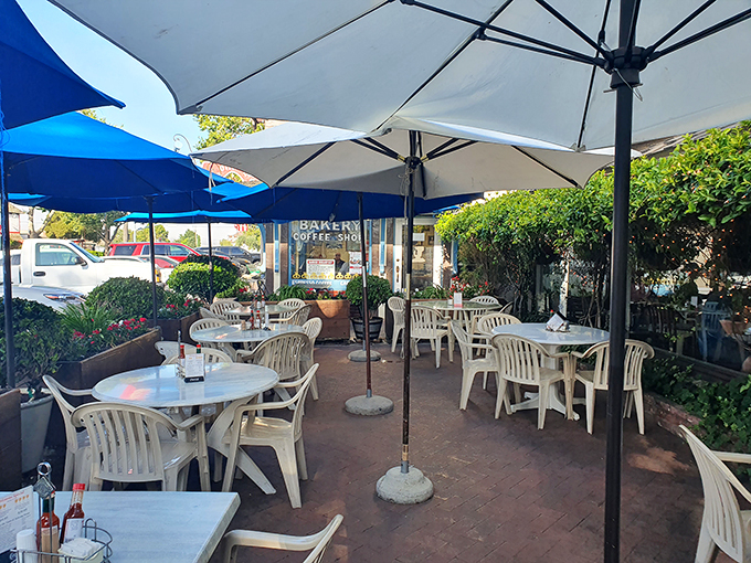The outdoor patio, shaded by umbrellas and surrounded by greenery, offers the perfect setting for contemplating life's big questions over small pancakes.